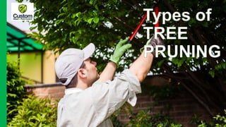 Types of Tree Pruning | PPT
