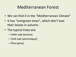 Types of trees in Spain | PPT