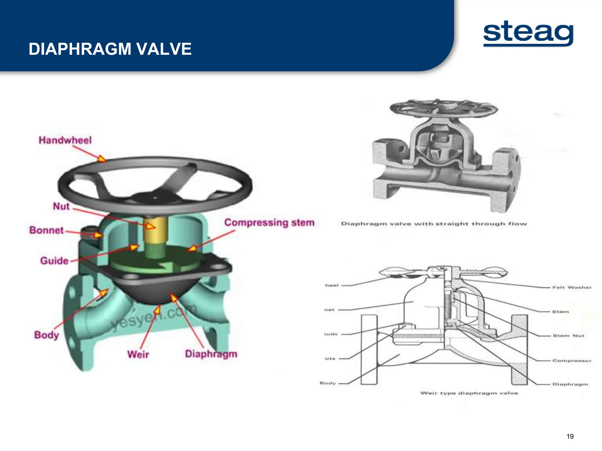 Types of Valves.ppt | Physics | Science