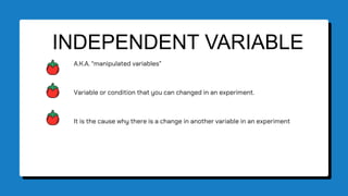 types of variables.pptx