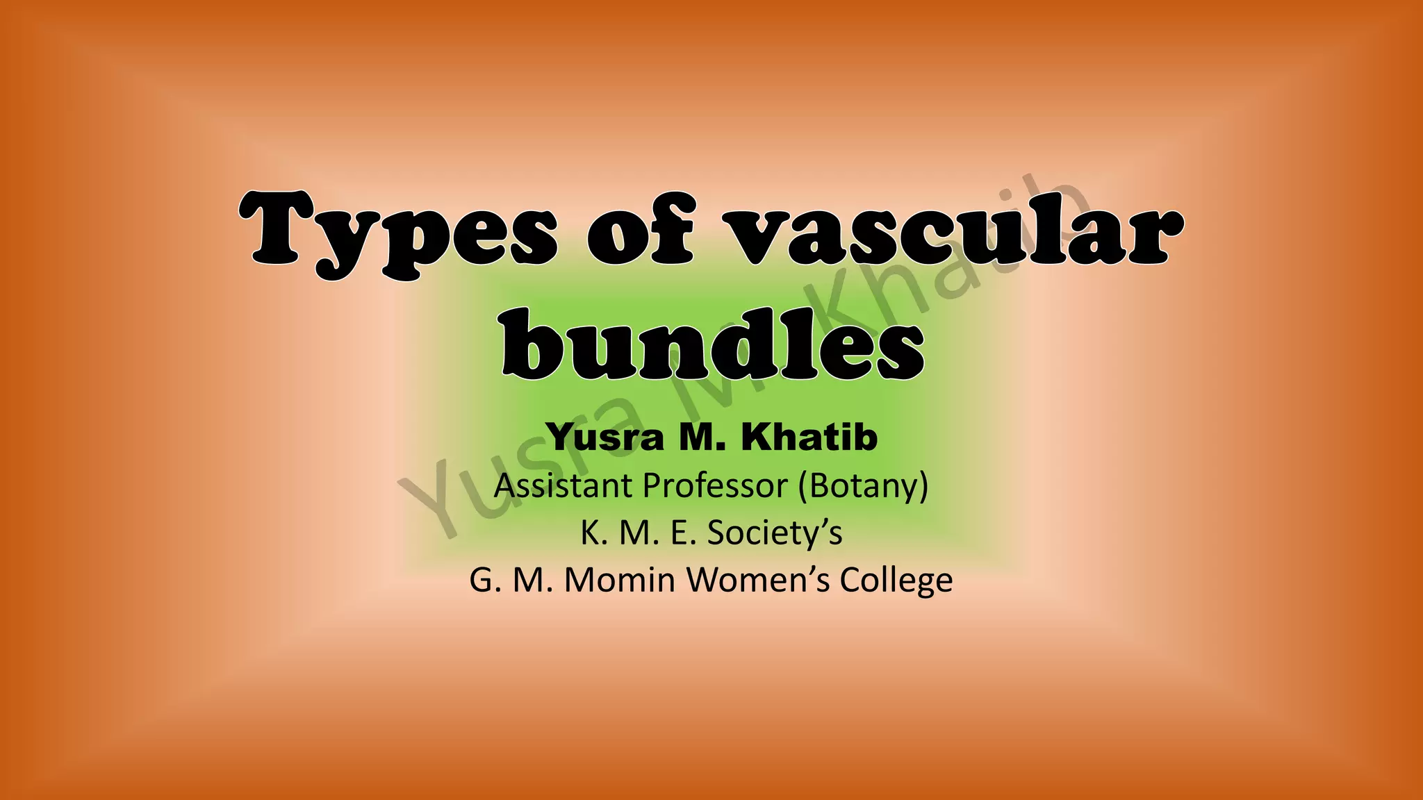 Types of vascular bundles | PDF