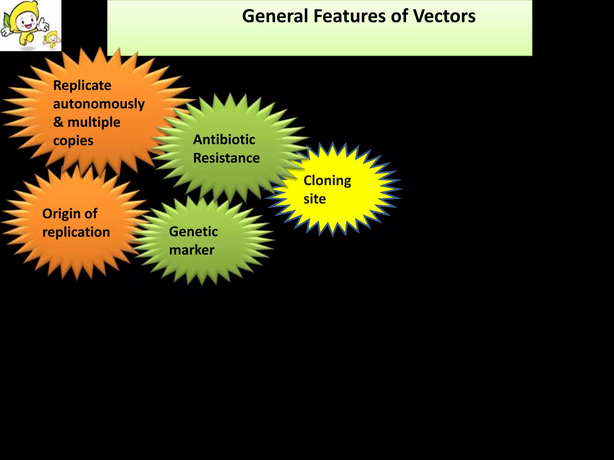 Types of vector | PPTX
