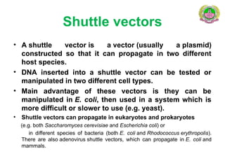 Types of cloning Vectors for gene transfer | PPT