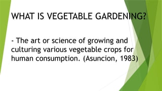 TYPES AND CLASSIFICATION OF VEGETABLE GARDENING.pptx