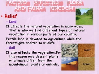 Types of vegetation2 | PPTX