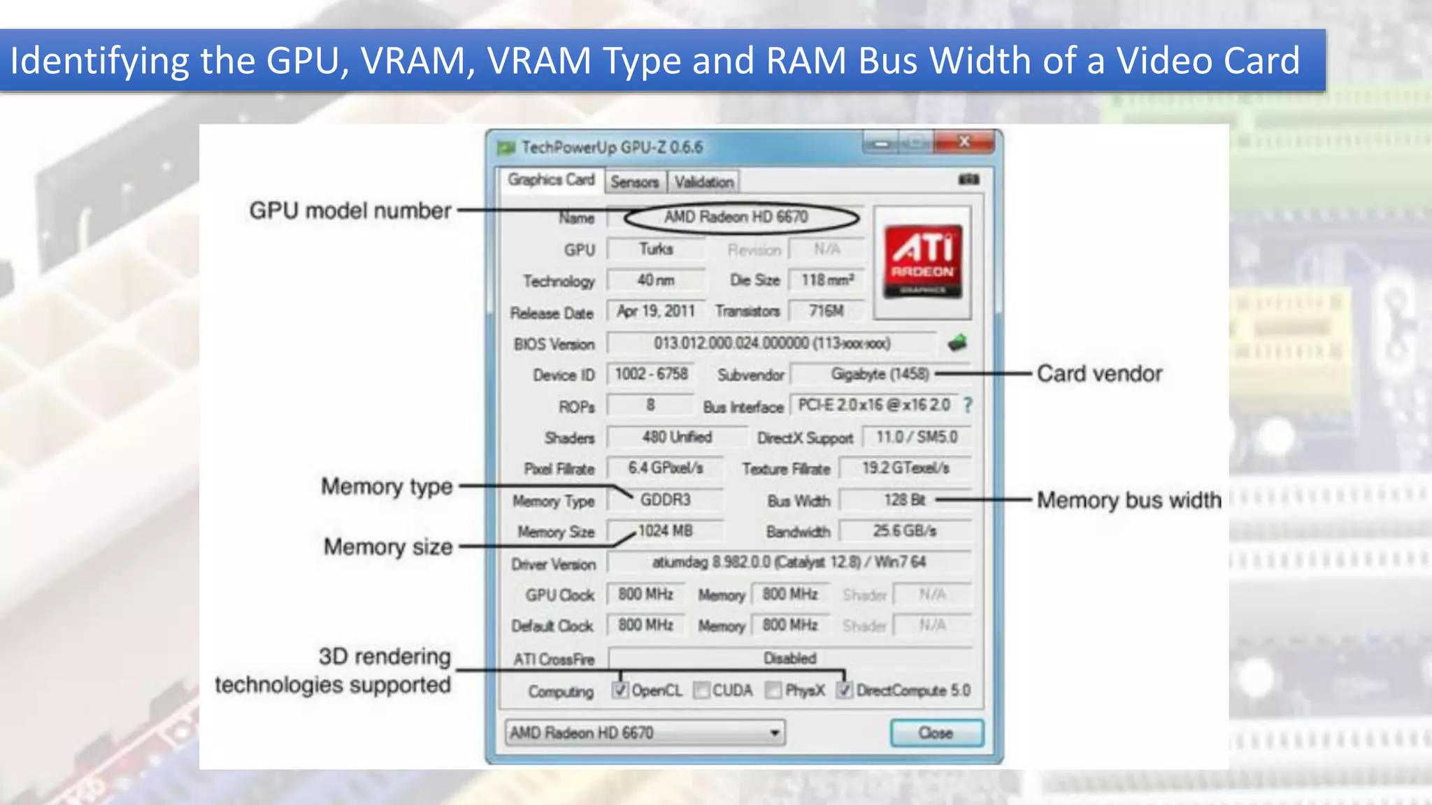 Types of Video Card.pptx