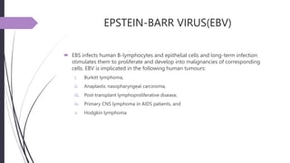 types of viruses.pptx