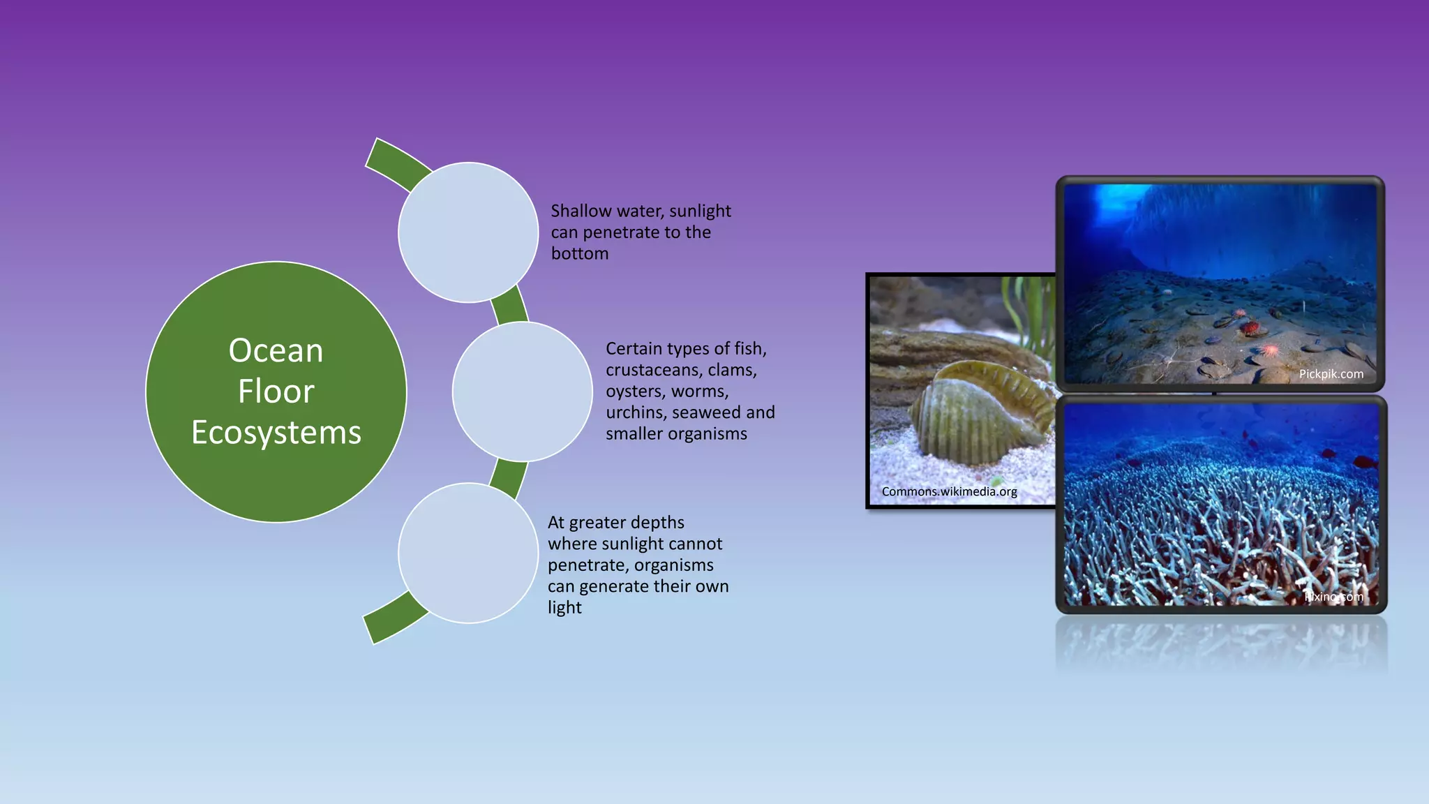 Types of water bodies marine water | PDF