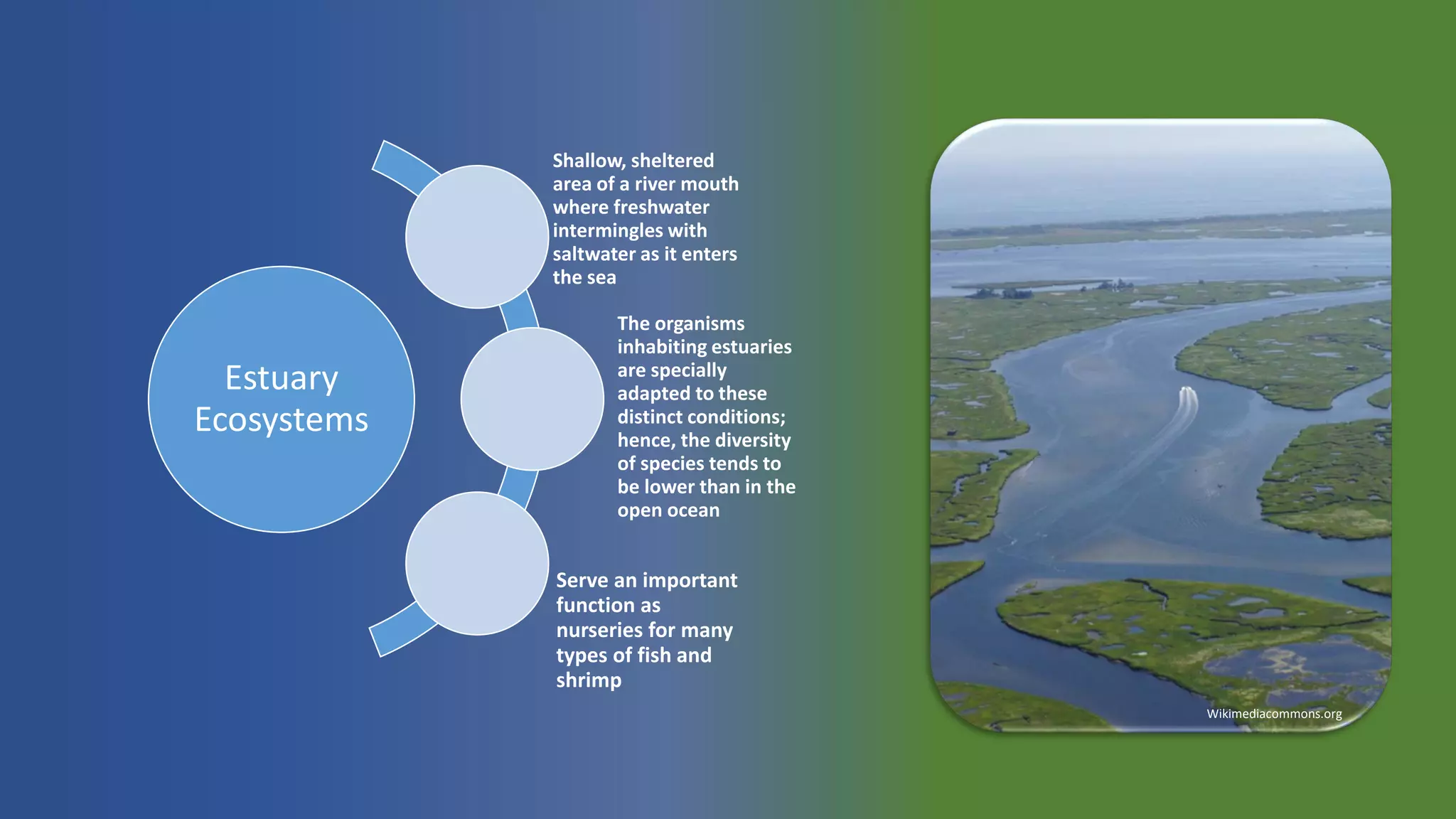 Types of water bodies marine water | PDF