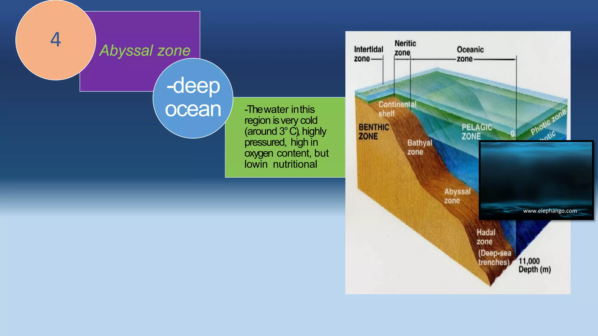 Types of water bodies marine water | PDF