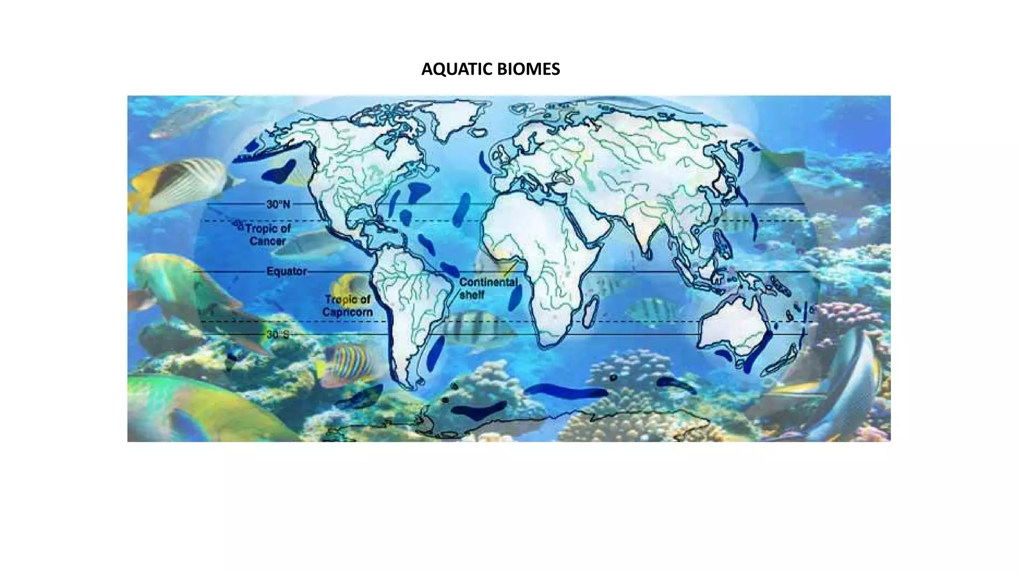 Types of water bodies marine water | PDF