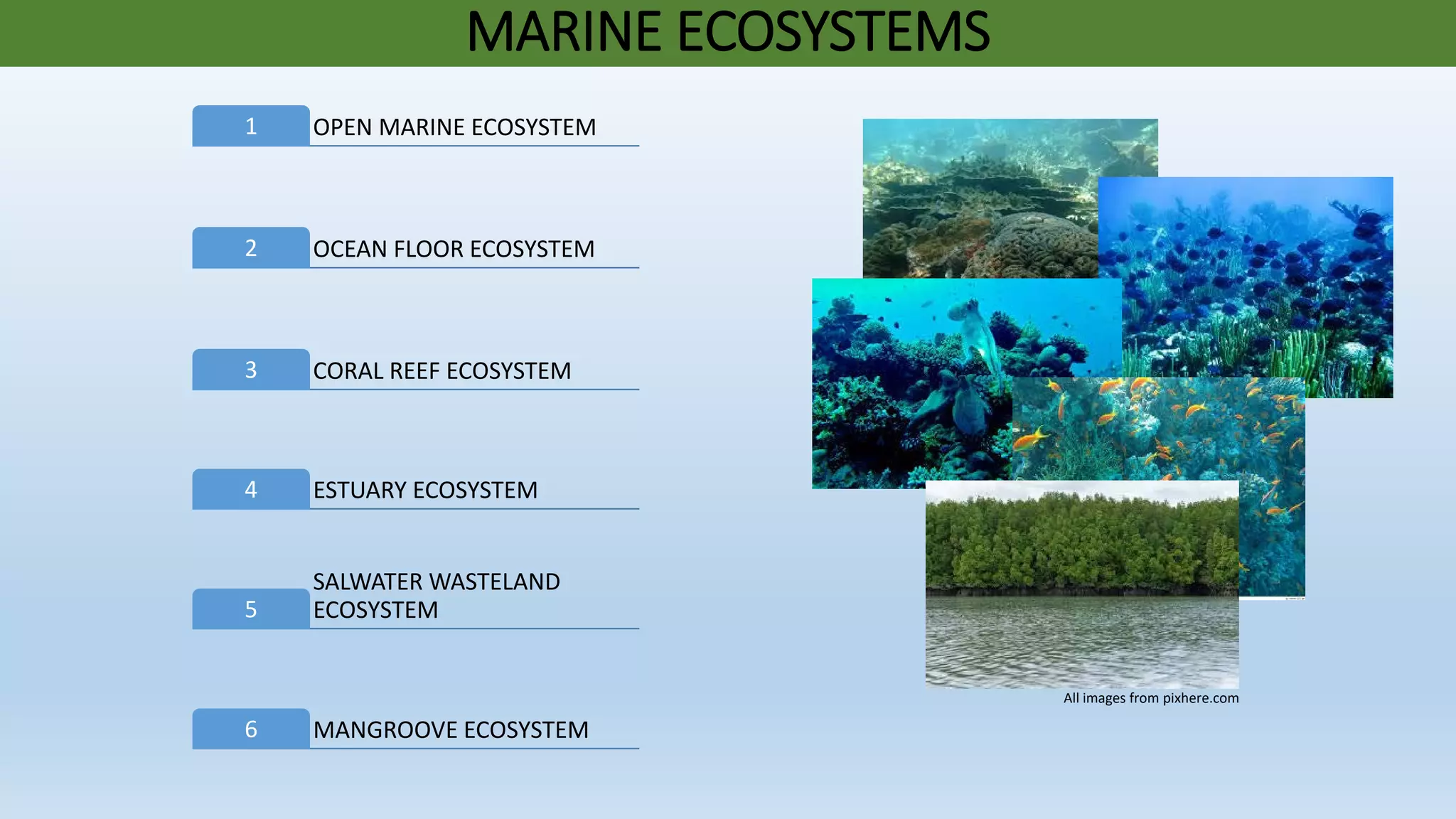 Types of water bodies marine water | PDF