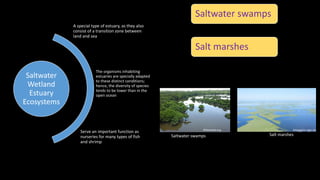 Types of water bodies marine water | PDF