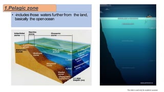 Types of water bodies marine water | PDF