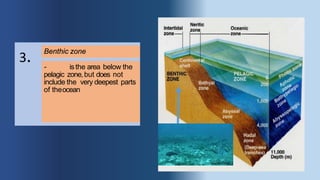 Types of water bodies marine water | PDF