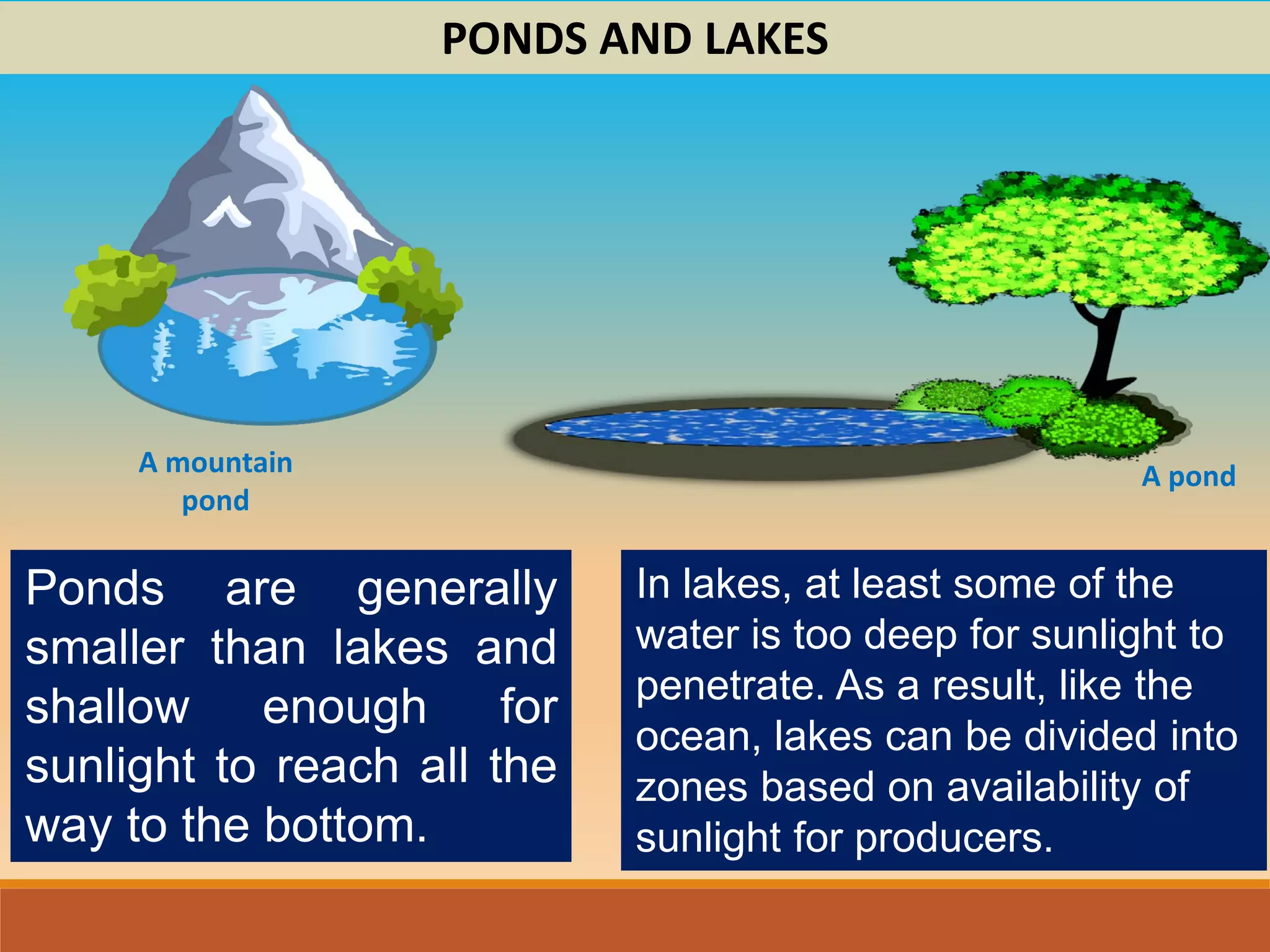 Types of water body : Freshwater body | PDF