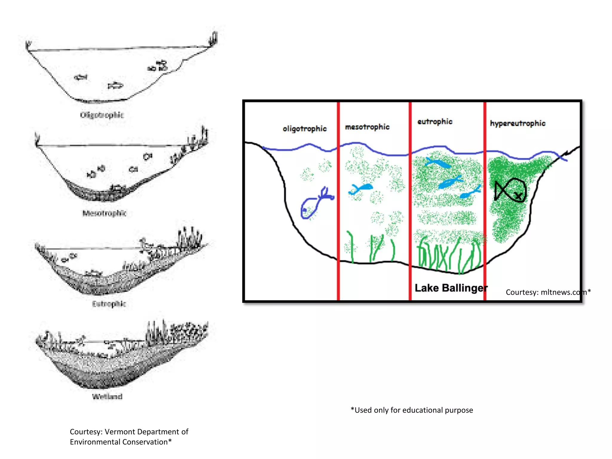 Types of water body : Freshwater body | PDF