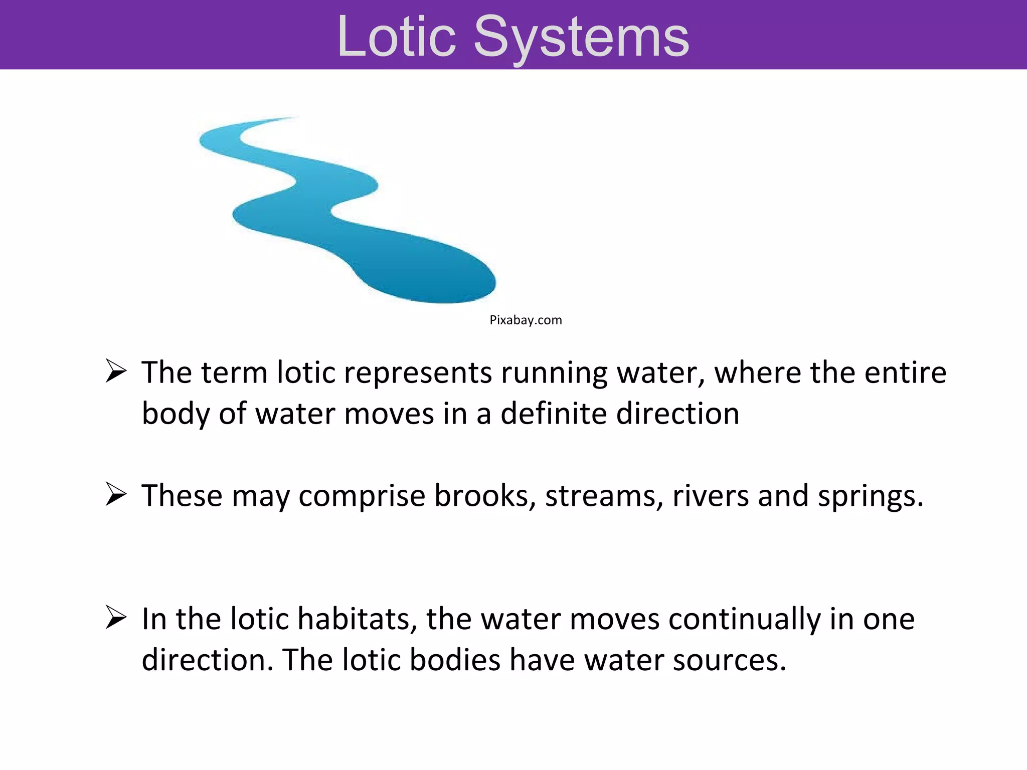 Types of water body : Freshwater body | PDF
