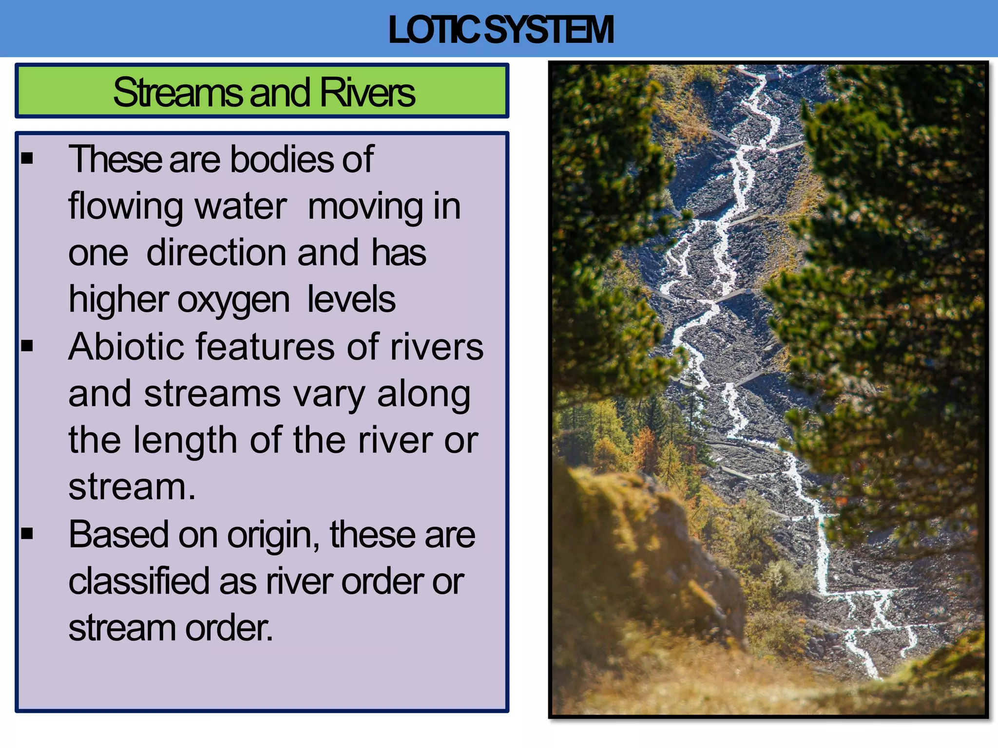 Types of water body : Freshwater body | PDF