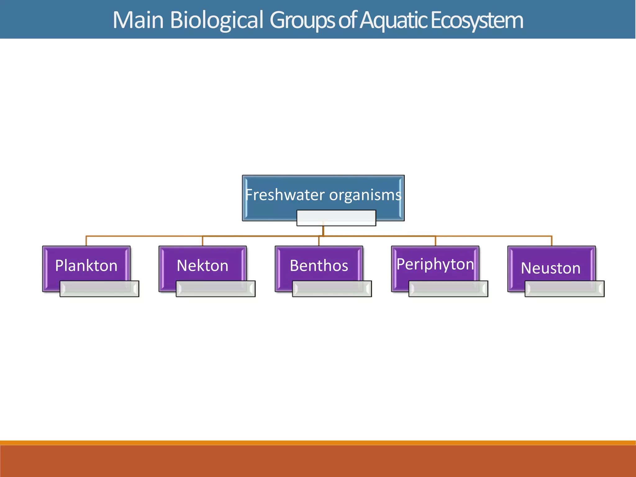 Types of water body : Freshwater body | PDF