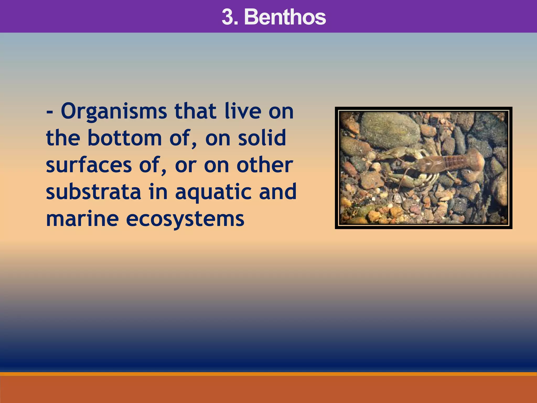 Types of water body : Freshwater body | PDF