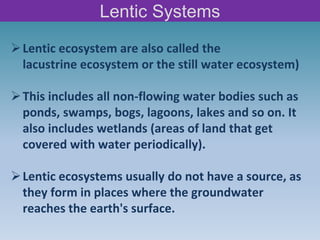 Types of water body : Freshwater body | PDF