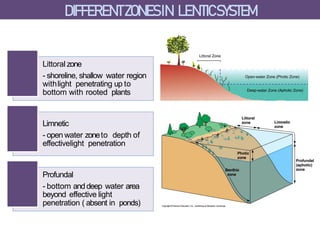 Types of water body : Freshwater body | PDF
