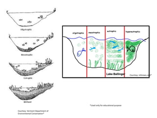 Types of water body : Freshwater body | PDF