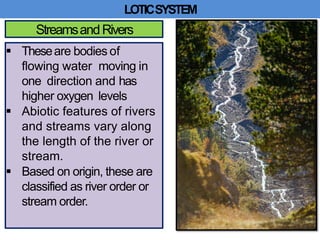 Types of water body : Freshwater body | PDF