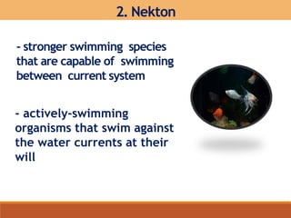 Types of water body : Freshwater body | PDF