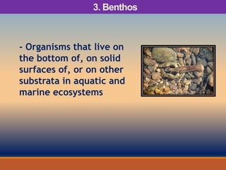 Types of water body : Freshwater body | PDF