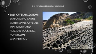 EARTH AND LIFE SCIENCE: TYPES OF WEATHERING | PPTX