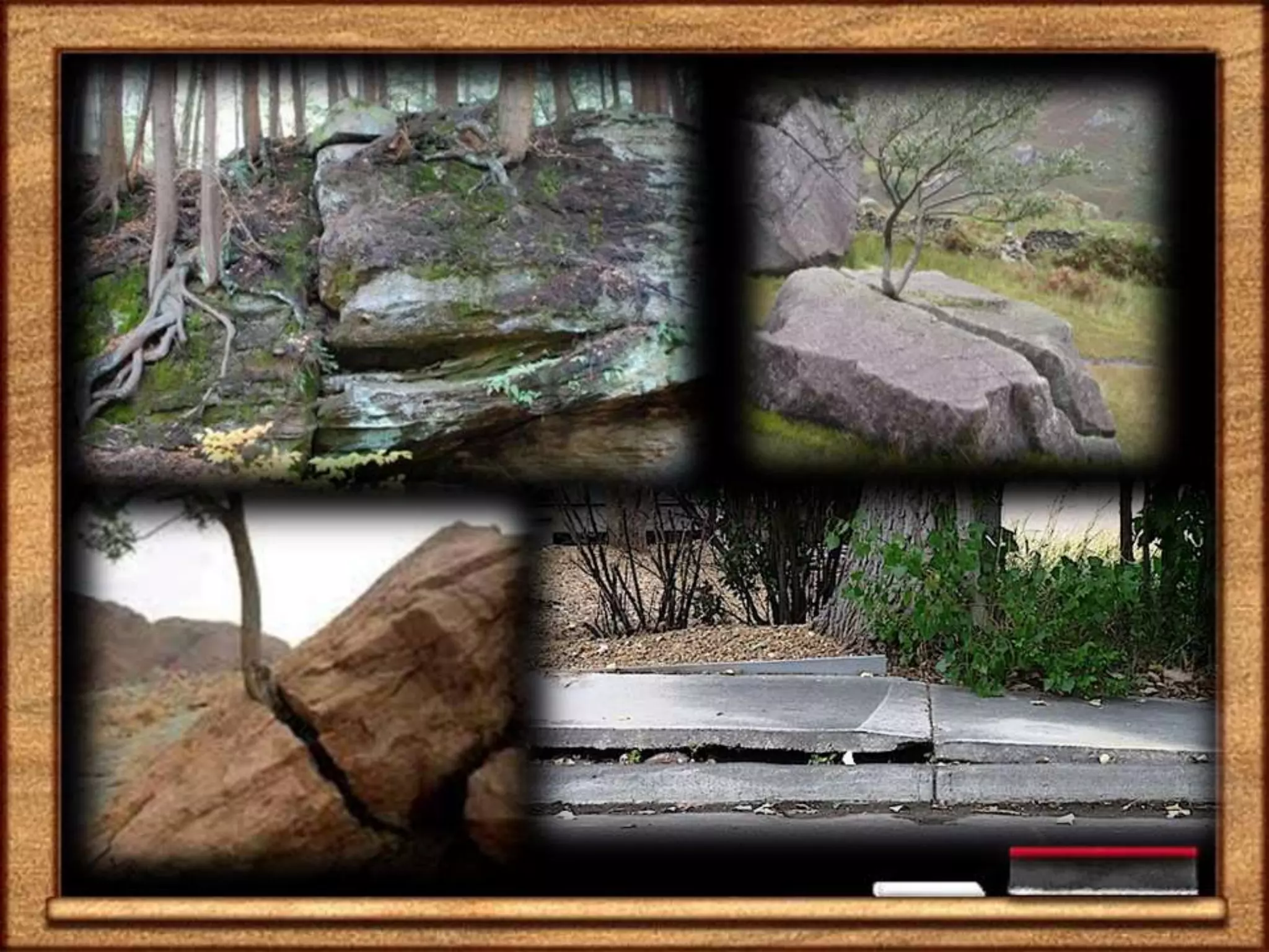 Types of Weathering | PPTX