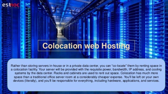 Types of Web Hosting | PPTX | Web Hosting | Internet