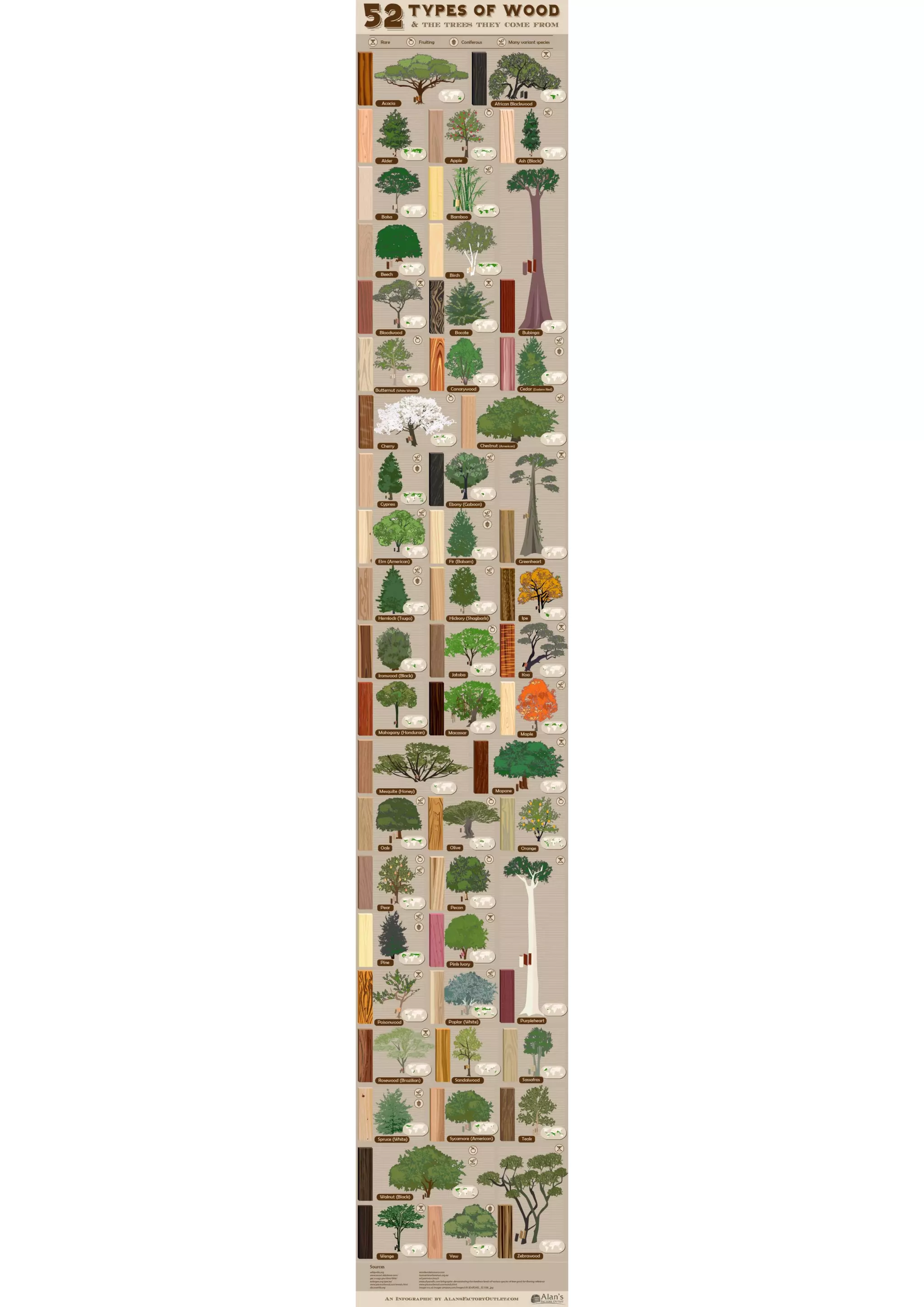 52 Types of Wood and the Trees They Come From | PDF