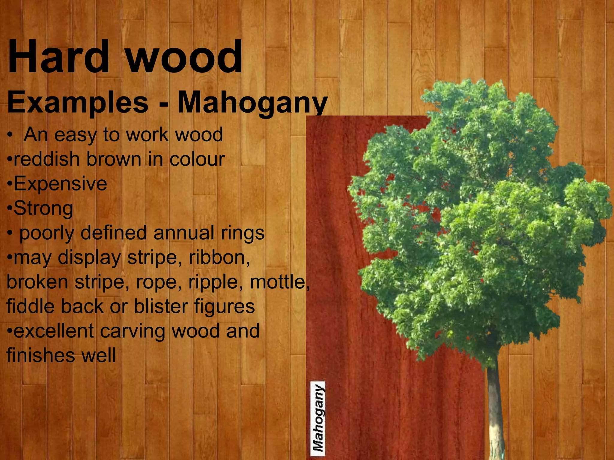Types of wood.pdf