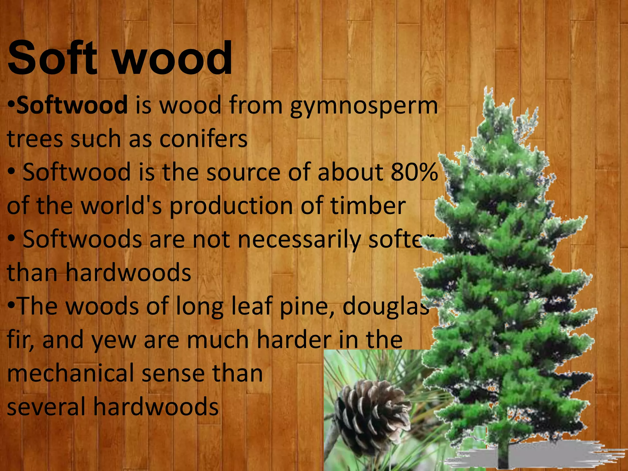 Types of wood.pdf