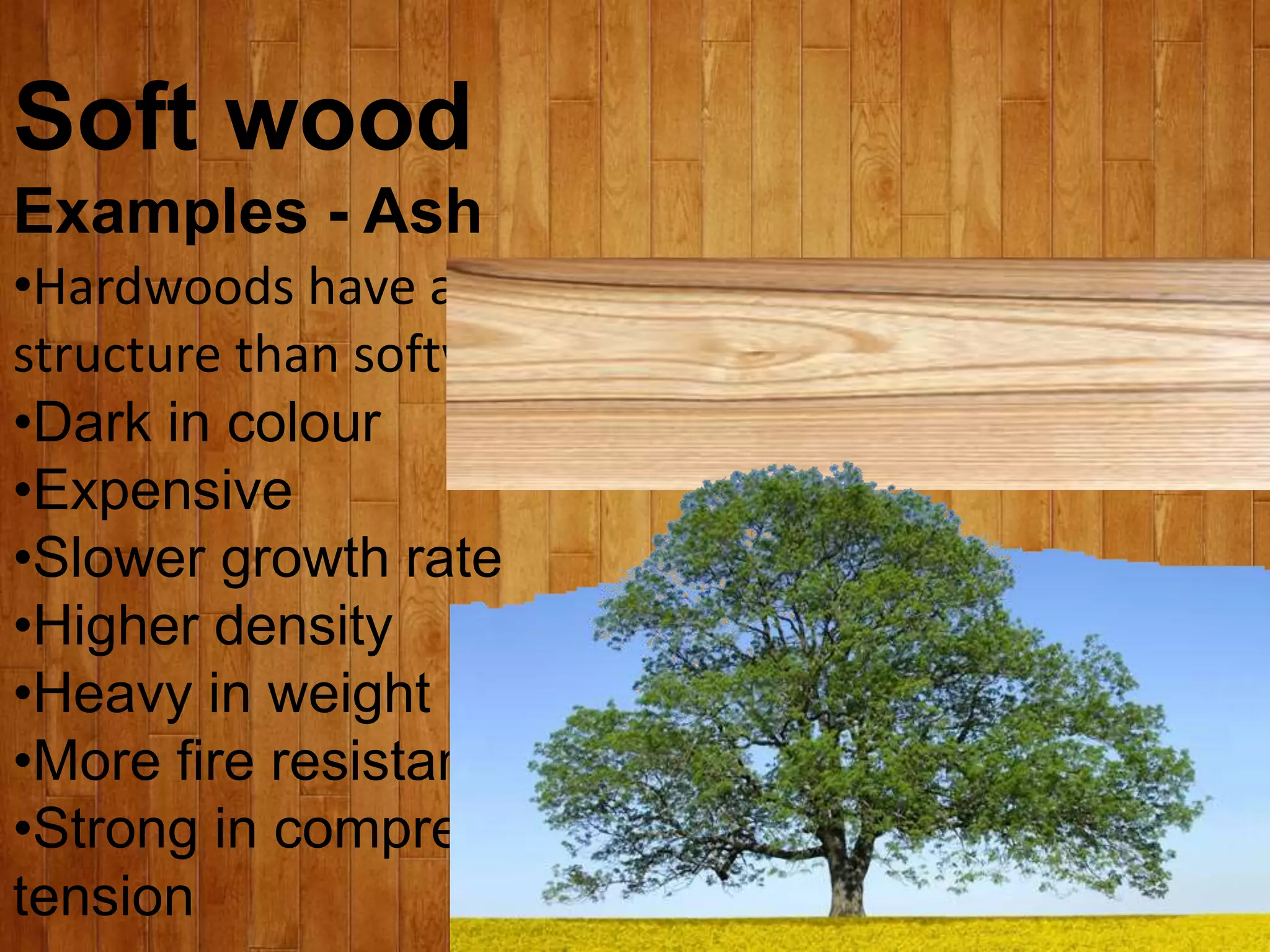 Types of wood.pdf