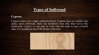 Types of woods | PPTX