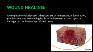 TYPES OF WOUND HEALING by Mishal Khan.pptx