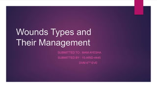 Types Of Wound Exudate