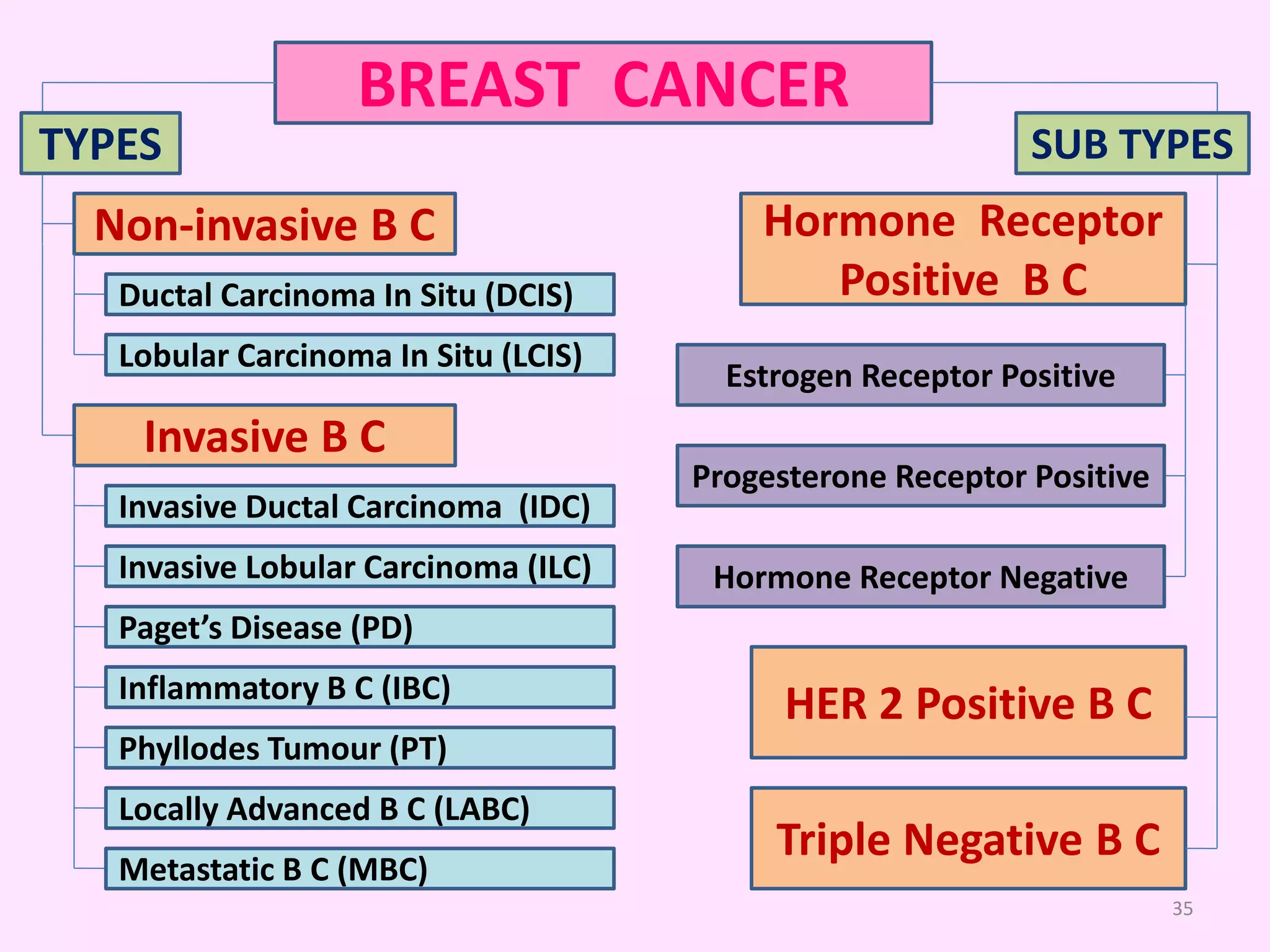 Types & Sub-types of Breast Cancer | PPTX | Cancer | Diseases and ...