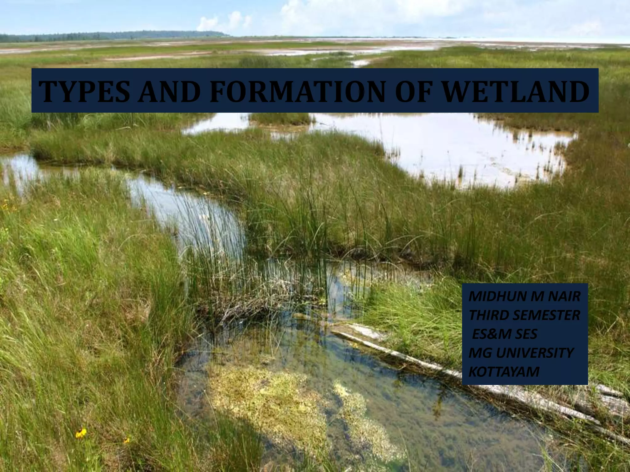 Types of wetlands and wetland formation | PPTX