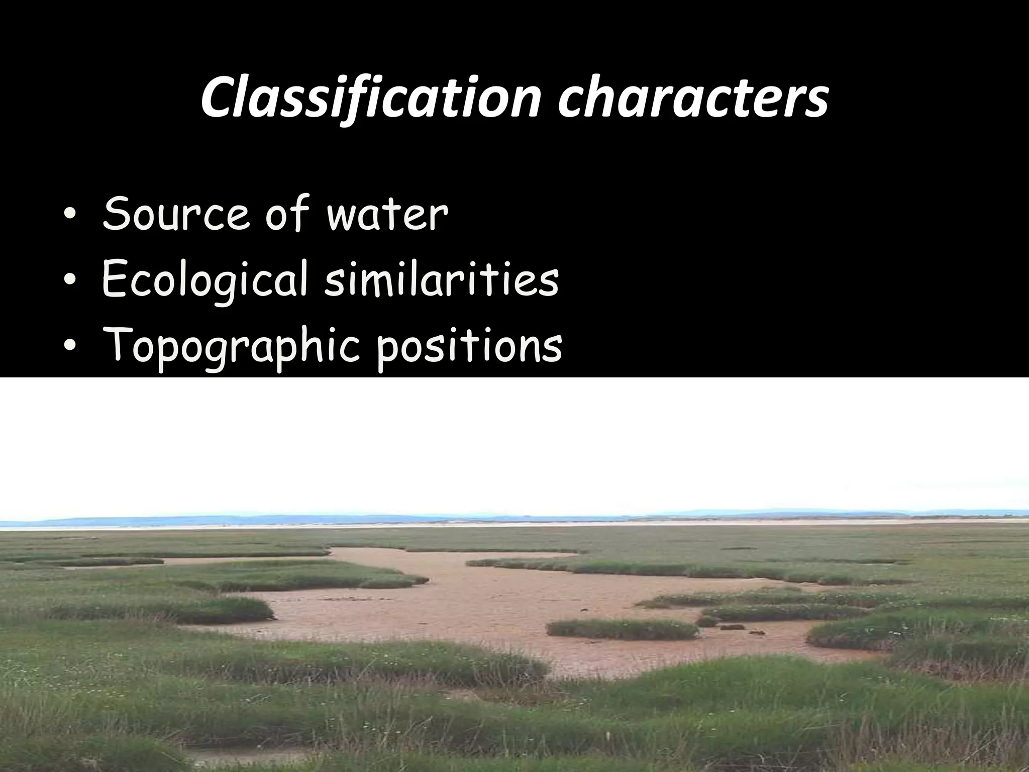 Types of wetlands and wetland formation | PPTX
