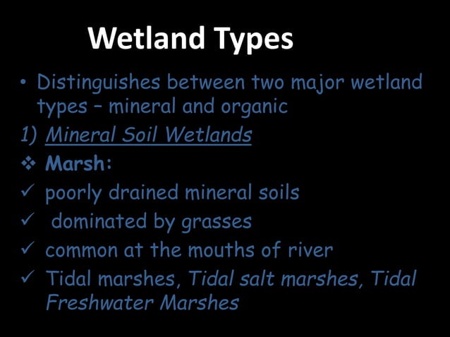 Types of wetlands and wetland formation | PPT | Free Download