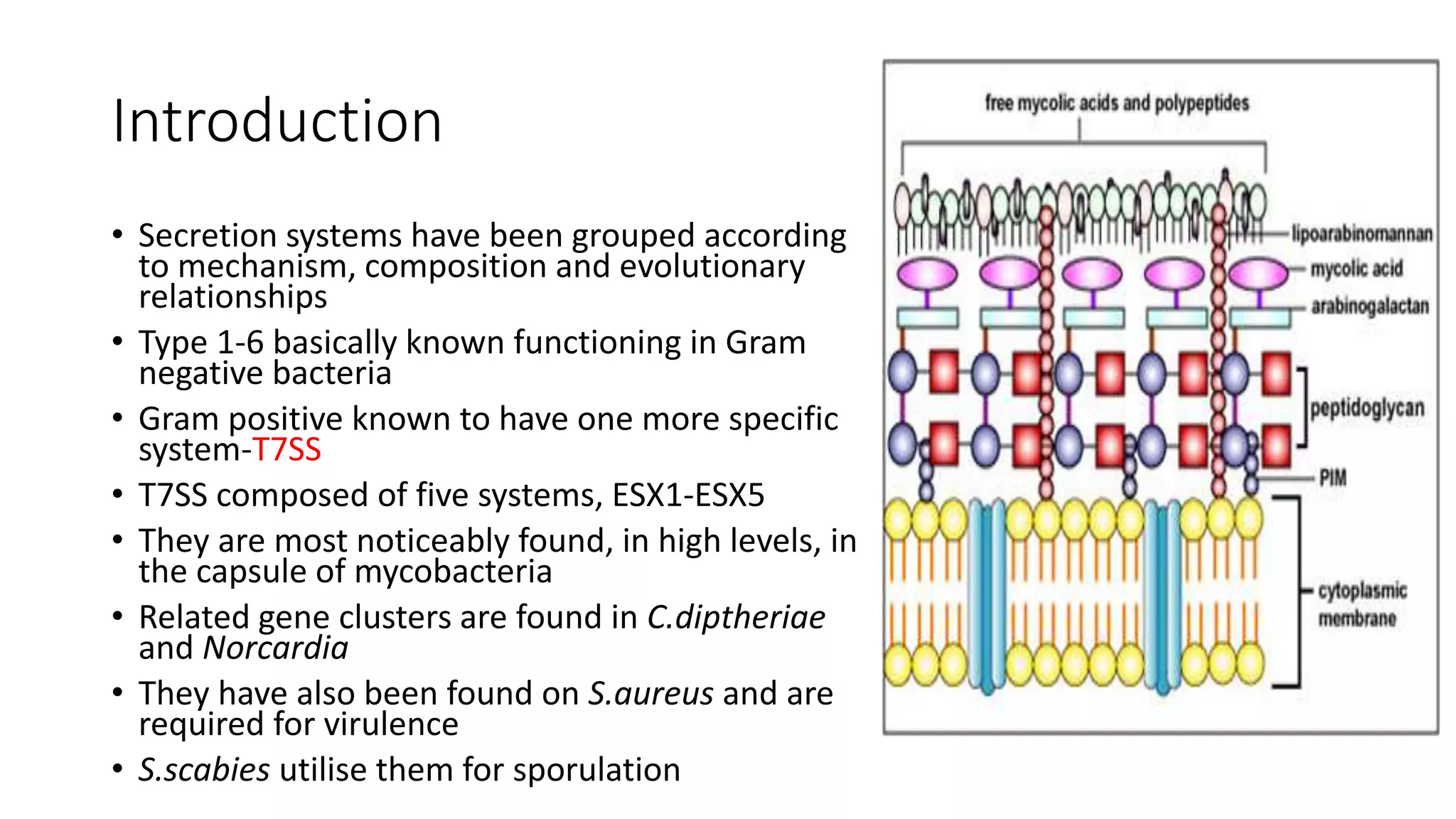 Type VII secretion system | PPTX