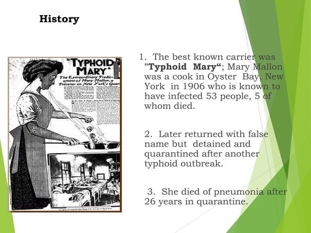 Typhoid and paratyphoid | PPT