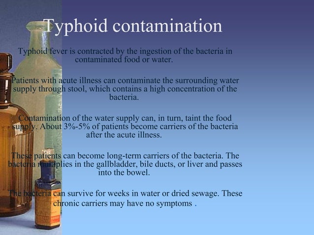 Typhoid | PPTX