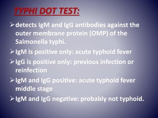 Typhoid | PPTX