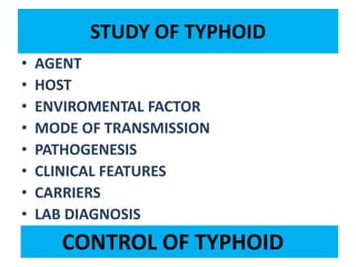 Typhoid | PPTX